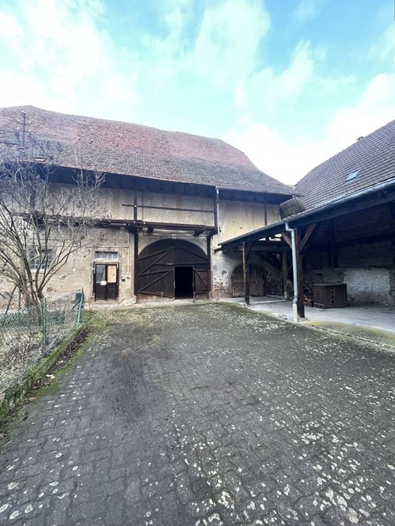 Vente maison Colmar et environs (68) | Seckler Immobilier